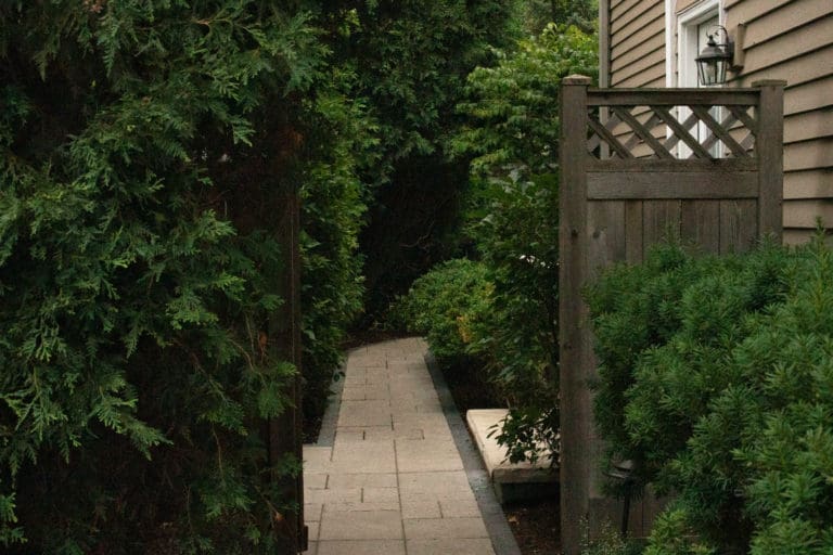 New 2021 Finished Design and Built Yard Projects