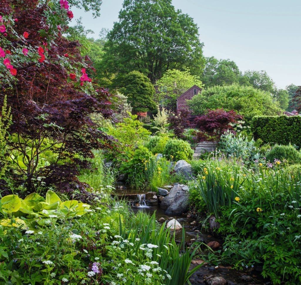Maximizing Natural Backyard Elements - Apex Landscaping