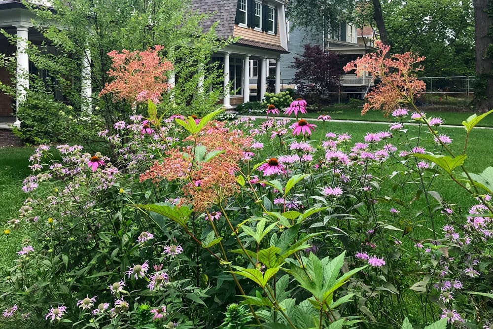 Maximizing Natural Backyard Elements - Apex Landscaping